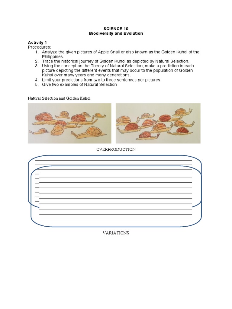Science 10 Activities Weeks 7 and 8 | PDF | Natural Selection | Evolution
