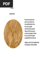 El Hombre Que Se Convirtió en Perro - Osvaldo Dragún | PDF | Teatro