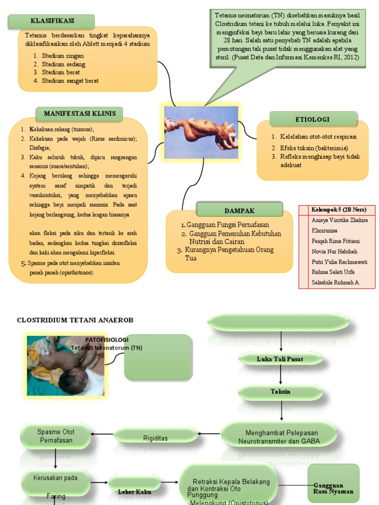 Tetanus Neonatorum - Kel.5 - Ners 2b-Dikonversi | PDF