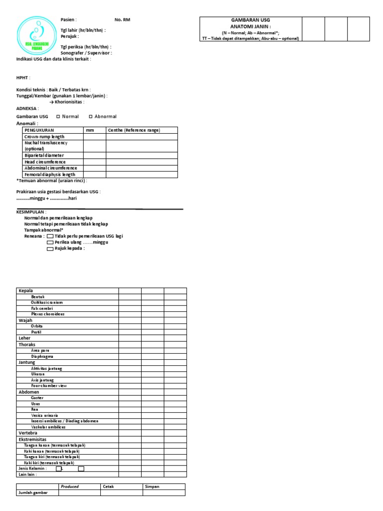 Format Interpretasi USG | PDF