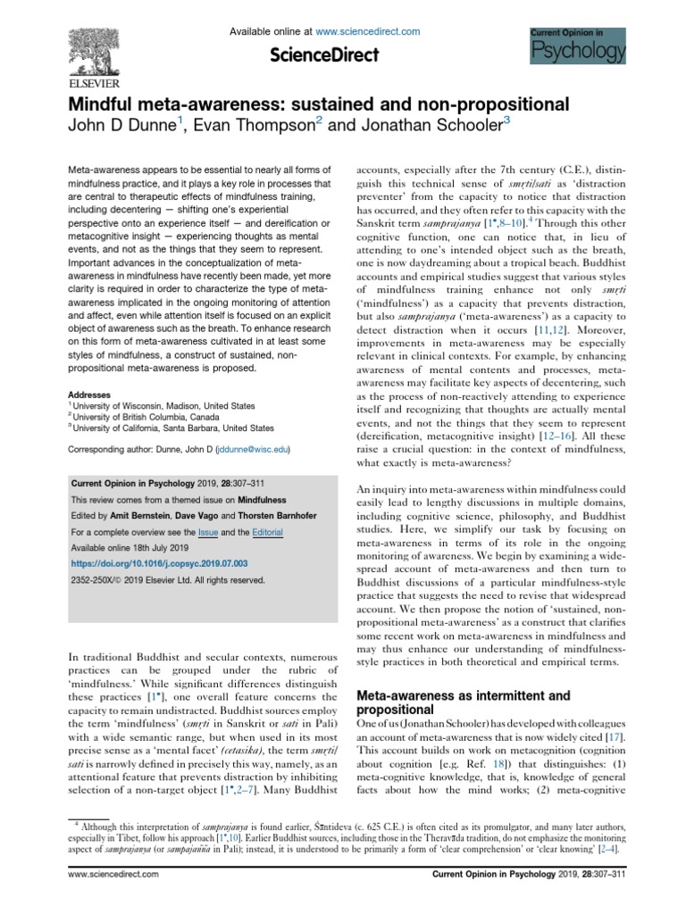 Mindful Meta-Awareness | PDF | Sati (Buddhism) | Mindfulness