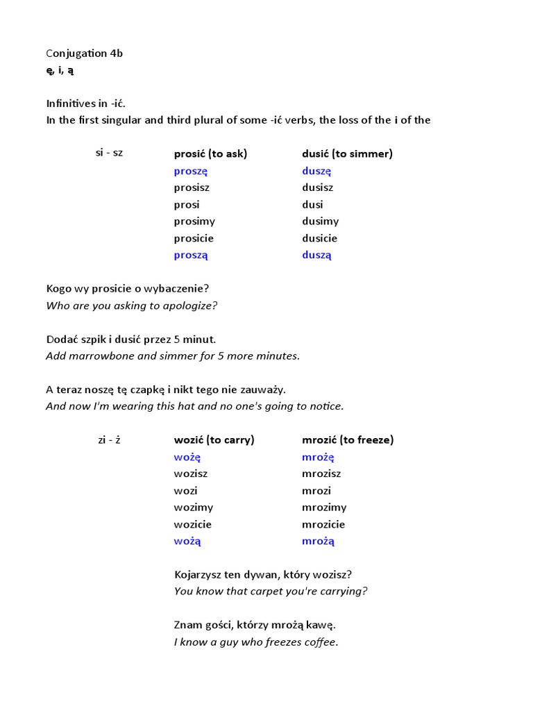 Polish Conjugation | PDF