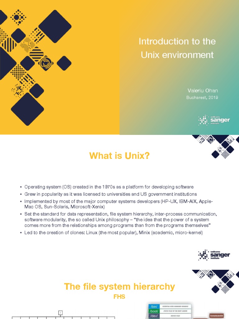 Introduction To The Unix Environment: Valeriu Ohan | PDF | Command Line ...