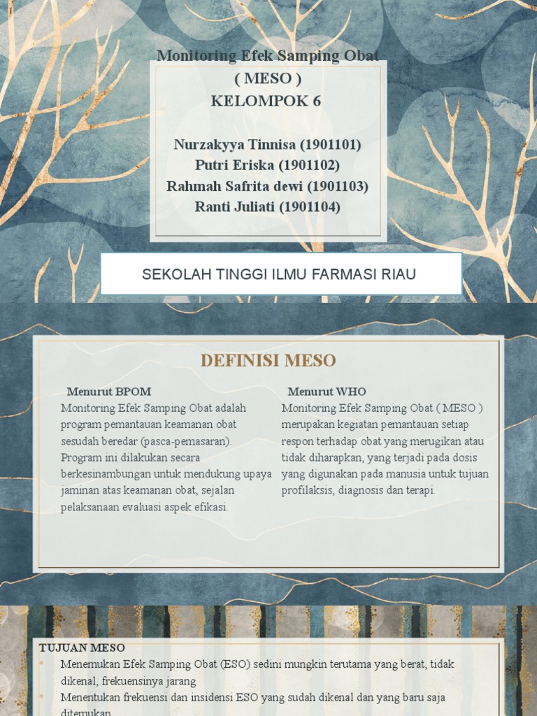 Kelompok 6-Meso | PDF | Pengembangan Diri | Kesehatan Holistik
