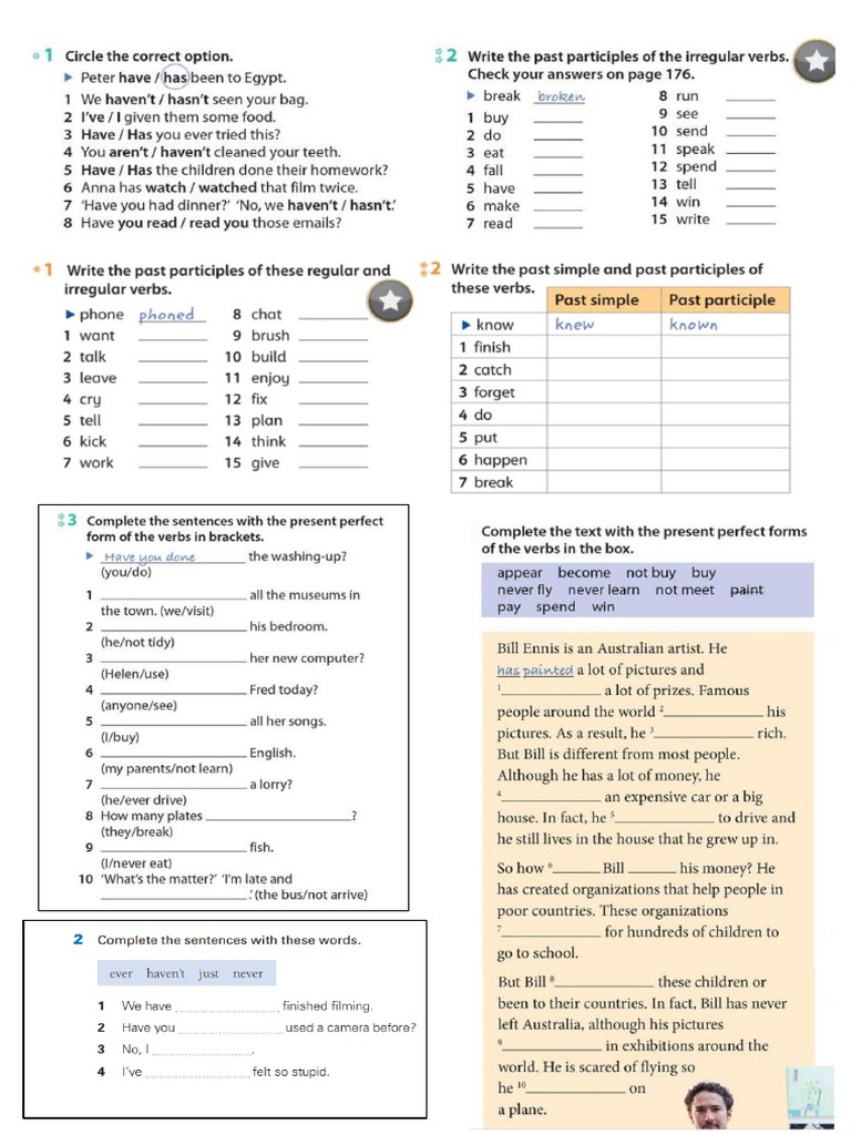 Present Perfect Afirmative Negative Ever Never | PDF