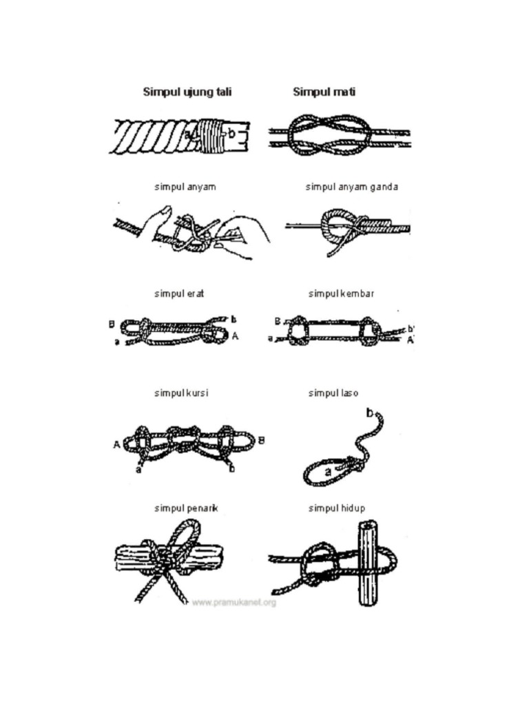 Simpul Pramuka | PDF
