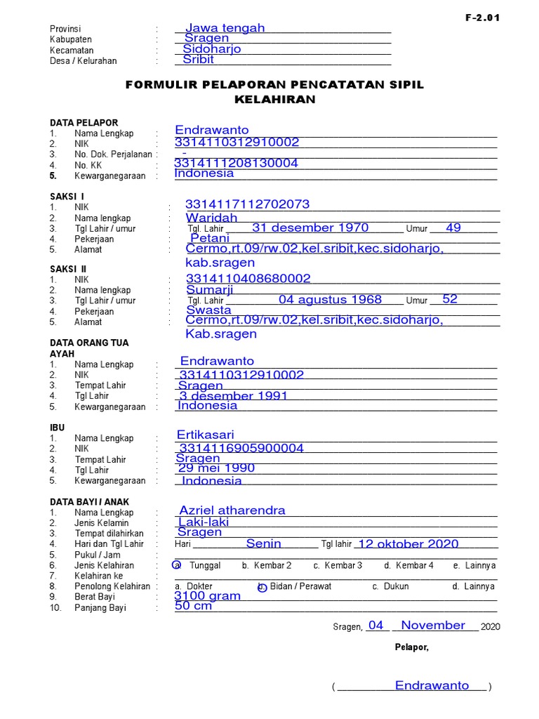 Form Pelaporan Kelahiran | PDF | Karier & Perkembangan | Pengelolaan ...