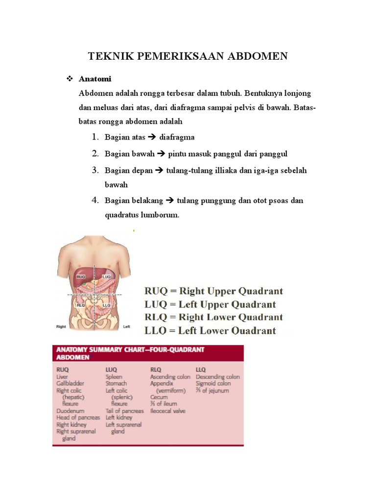 Teknik Pemeriksaan Abdomen | PDF