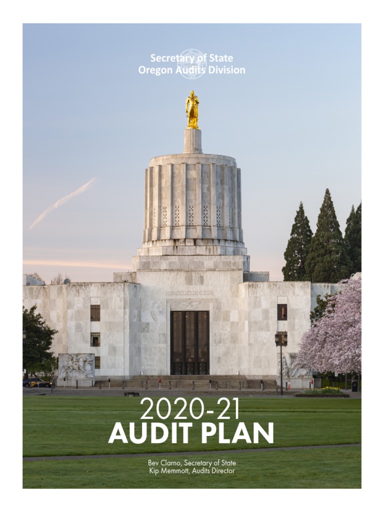 Annual Audit Plan Example | PDF | Internal Audit | Audit
