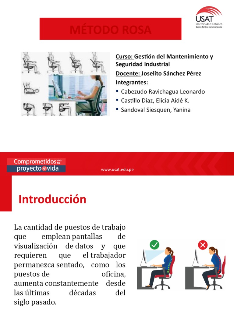 Metodo ROSA | PDF | Factores humanos y ergonomía | Salud y bienestar