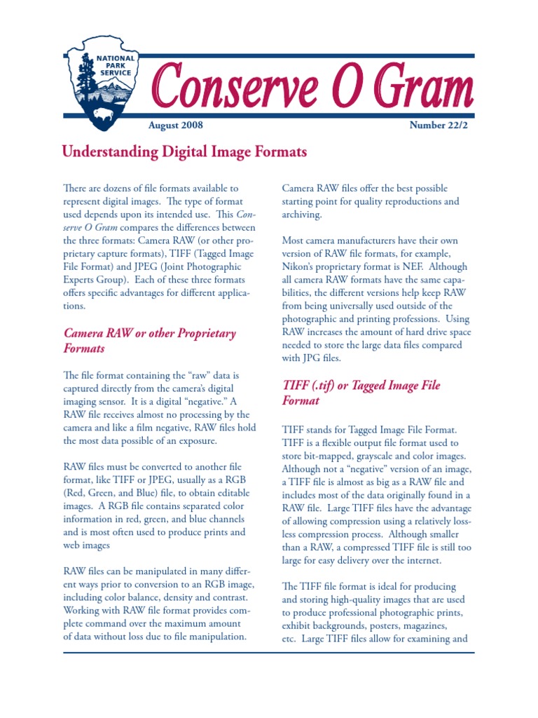 Understanding Digital Image Formats | PDF | Raw Image Format | Digital ...