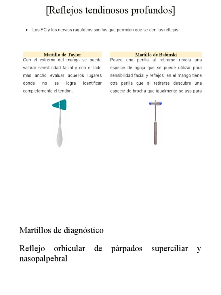 Guía de Evaluación de Reflejos Clínicos | PDF | Mano | Abdomen