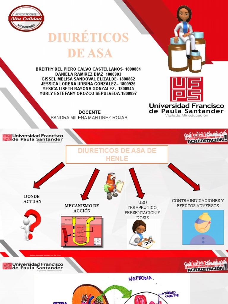Los diuréticos de asa de Henle: su mecanismo de acción, usos ...
