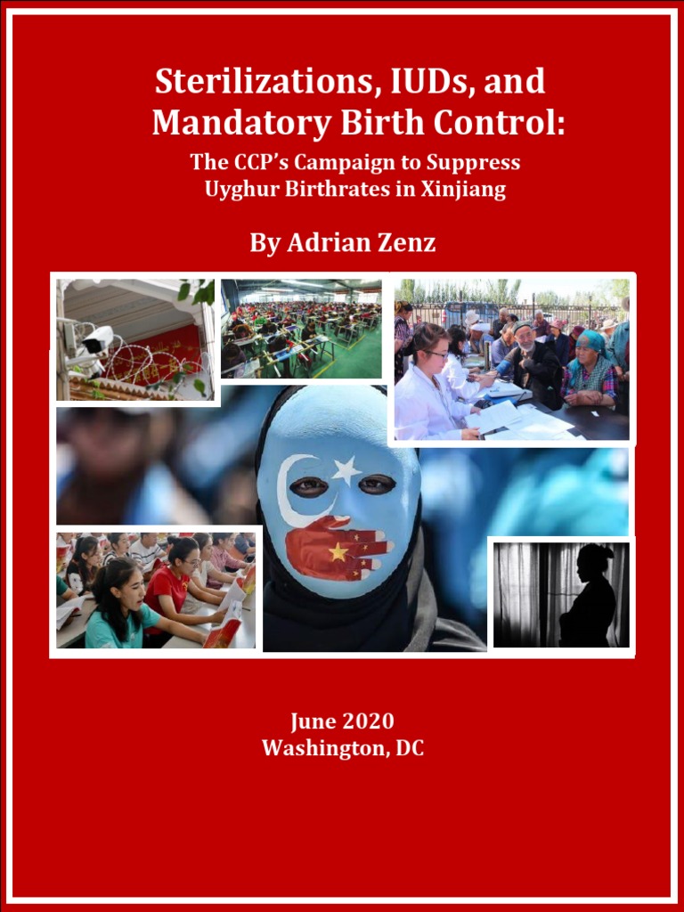 Zenz 2020 Sterilizations IUDs & Mandatory Birth Control - The CCPs ...