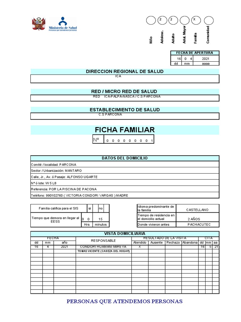 Ficha Familiar Completa Familia Vicente Condori | PDF | Bienestar ...