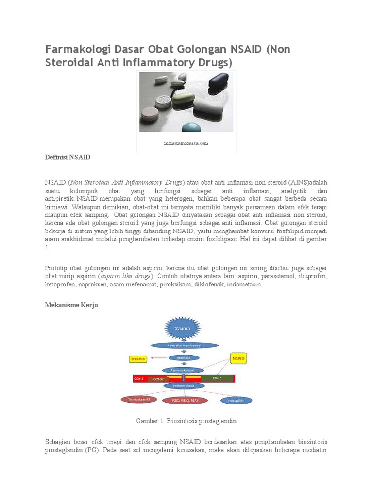 NSAID | PDF