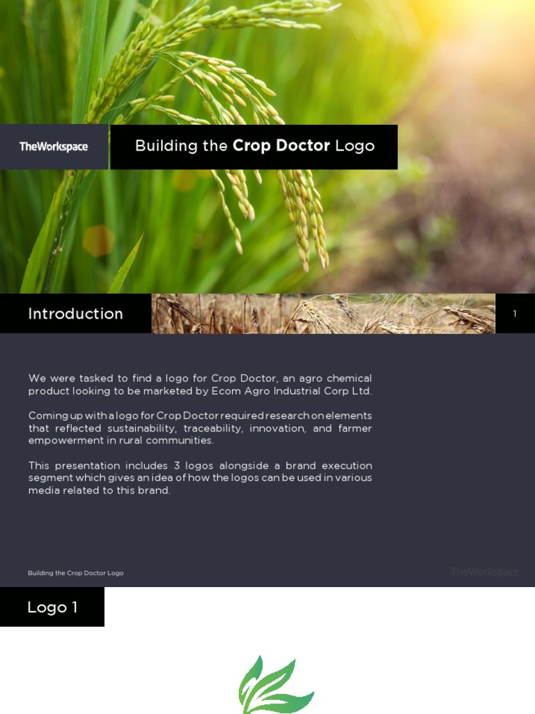 Crop Doctor Logo Design Overview | PDF | Logos | Agriculture