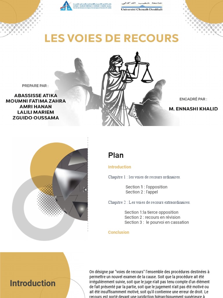 Les Voies de Recours | PDF | Loi publique | Systèmes judiciaires