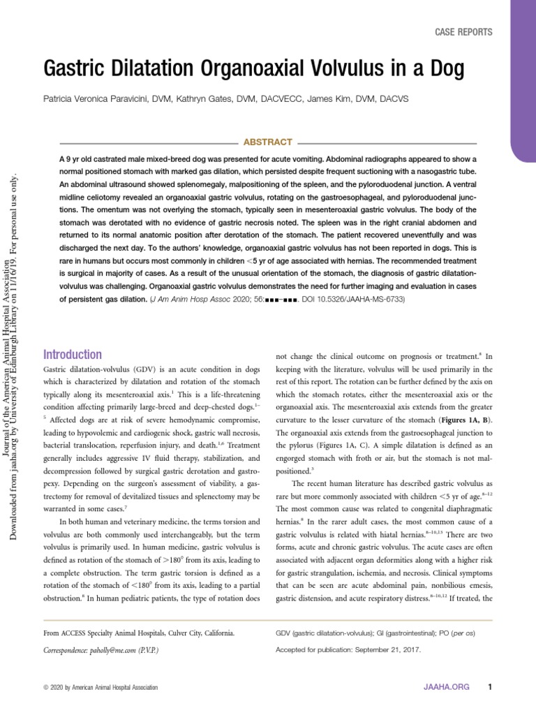Gastric Dilatation Organoaxial Volvulus in A Dog | PDF | Stomach ...