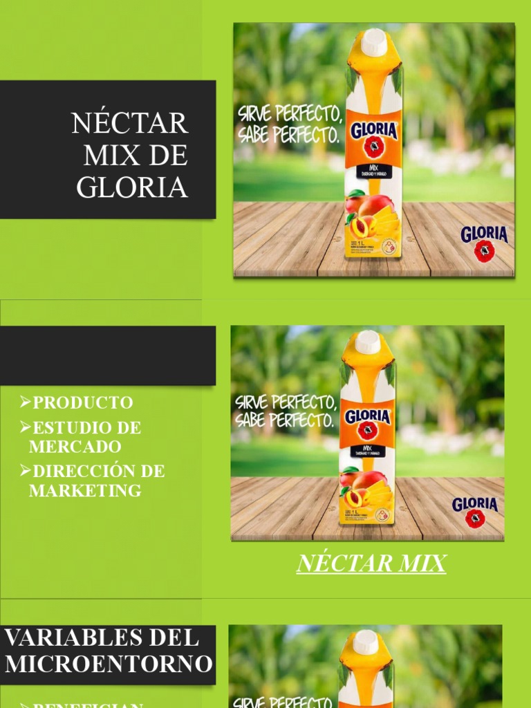 Jugo Mix Gloria | PDF | Producto (Negocio) | Marketing