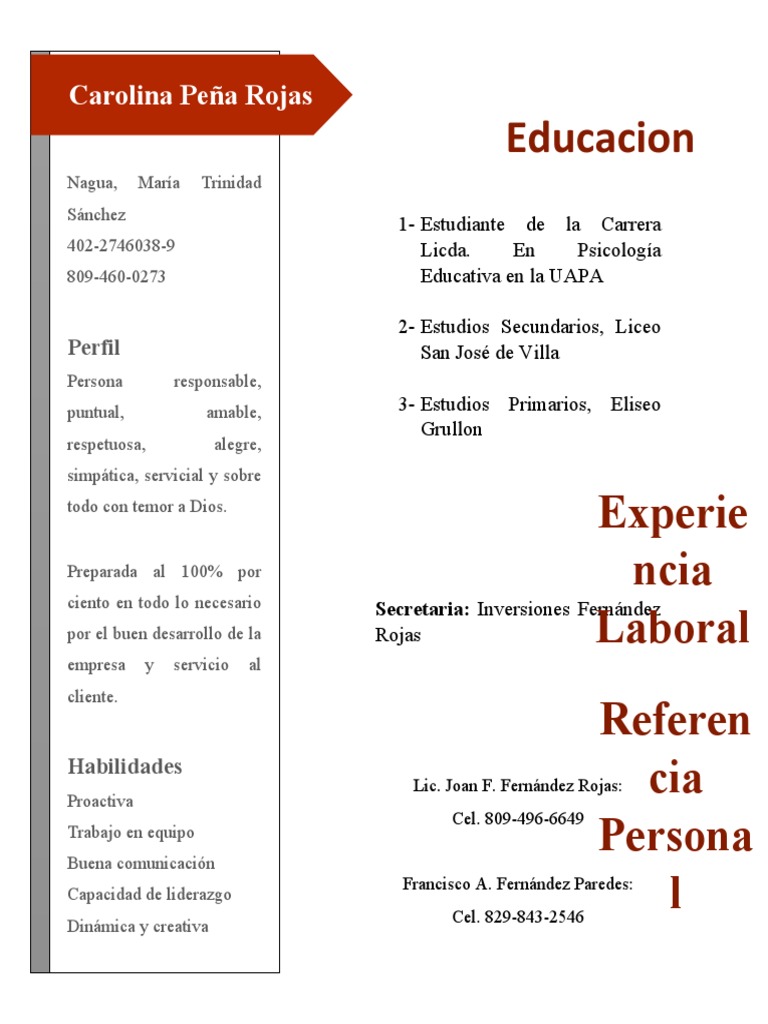 Curriculum Vitae Carolina | PDF