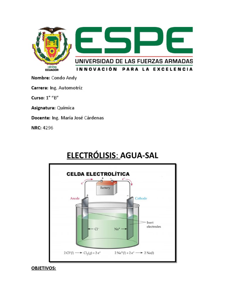 Electrólisis: Agua-Sal | PDF | Redox | Electrodo