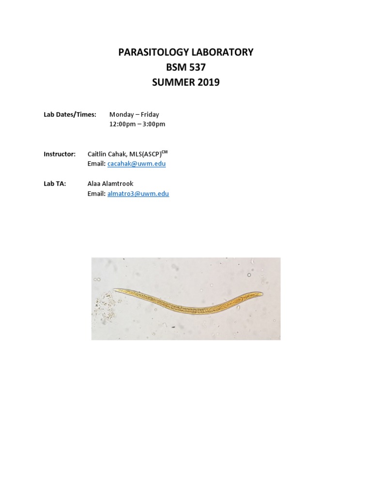 Parasitology Lab Manual | PDF | Plasmodium | Microbiology