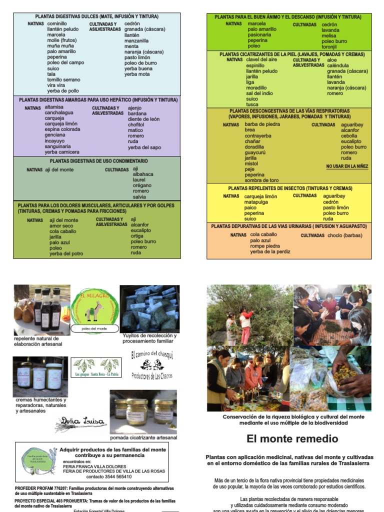 Monte Remedio | PDF | Hierbas Medicinales Y Hongos | Plantas medicinales
