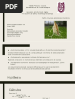 Reacción Hill | PDF | Fotosíntesis | Metabolismo