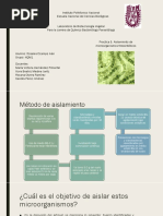 Agente Caotrópico | PDF | Ciencia y matemáticas