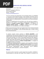 Signo del Témpano y Fabela en Rodilla | PDF | Rodilla | Pie