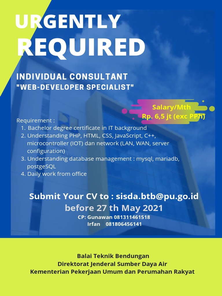 Urgent Web Developer Consultant Needed | PDF