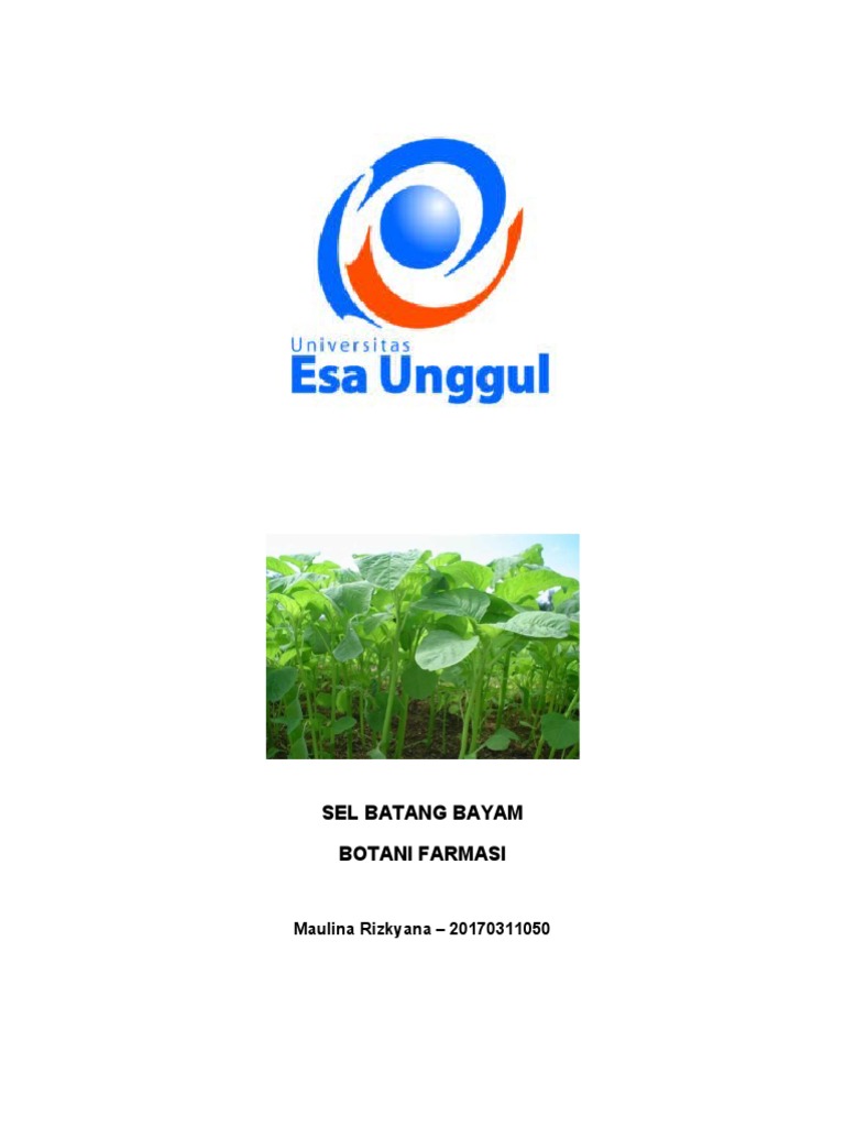 SEL BATANG BAYAM Kiki | PDF | Griya & Taman | Kesehatan Holistik