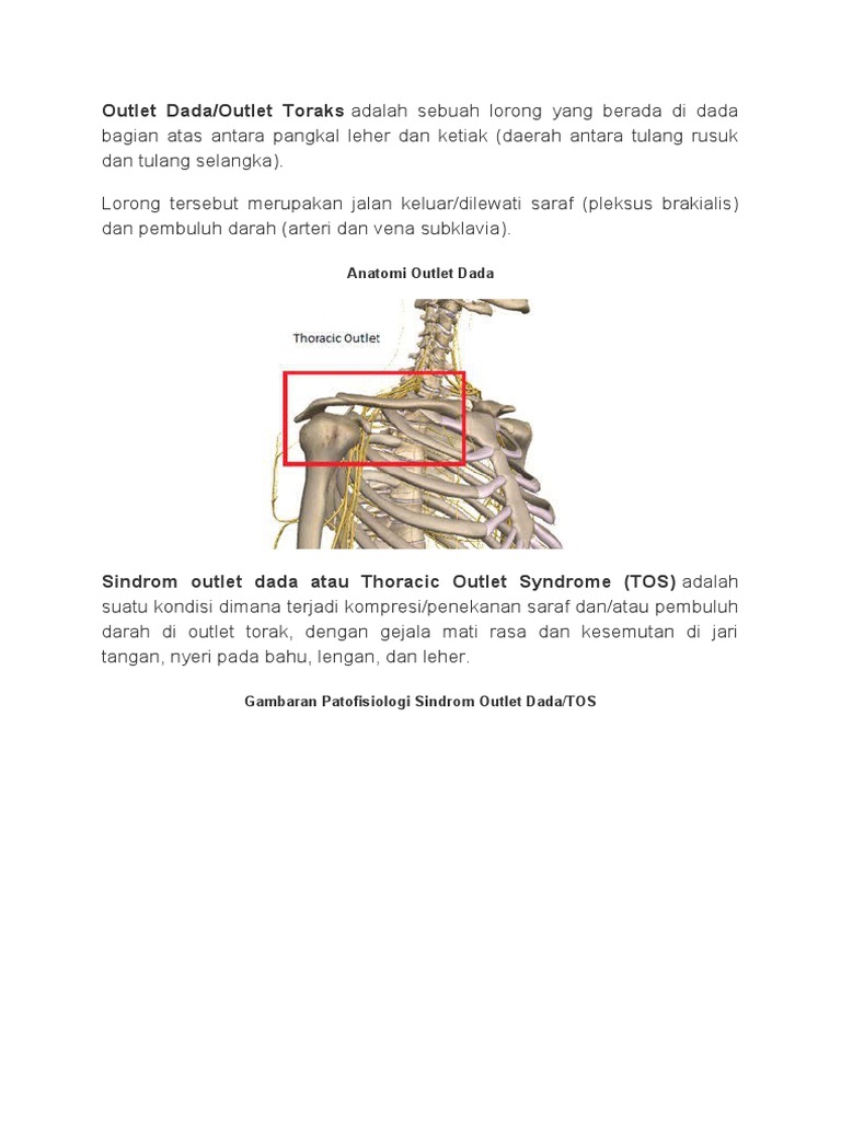 Outlet Dada/Outlet Toraks Adalah Sebuah Lorong Yang Berada Di Dada | PDF