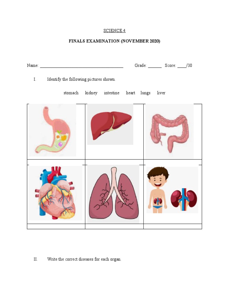 Science 4: Finals Examination (November 2020) | PDF