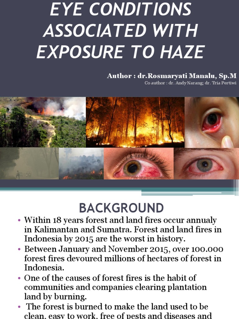 Eye Conditions from Haze Exposure | PDF | Air Pollution | Wildfire