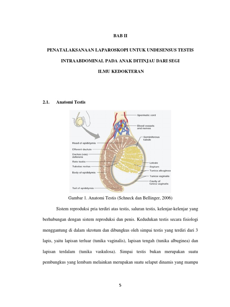 Bab Ii - Udt Laparoskopi | PDF | Sains & Matematika