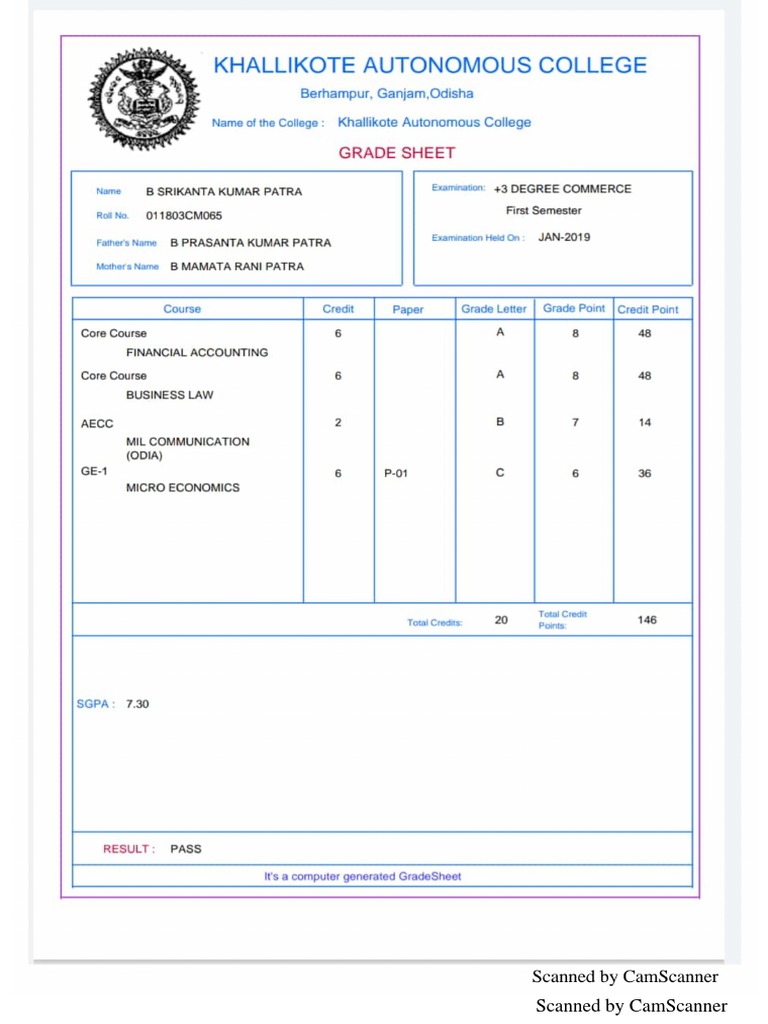 1st Semester Mark Sheet | PDF