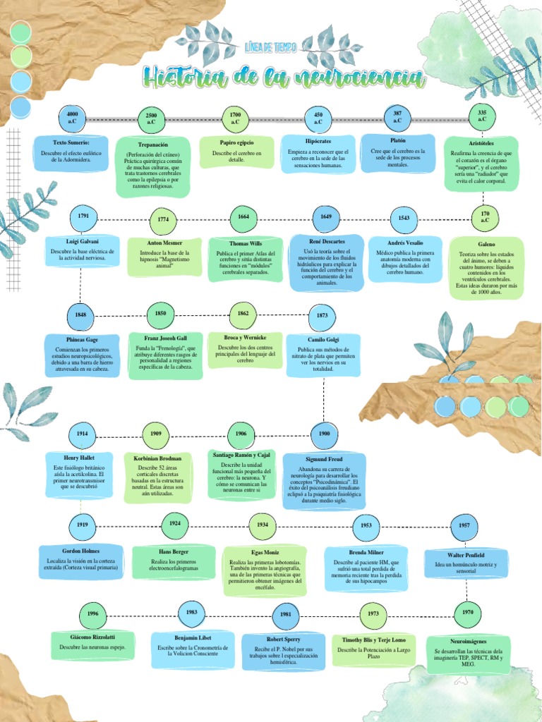 Linea de Tiempo de Las Neurociencias (Parte 1) | PDF | Corteza cerebral | Cerebro