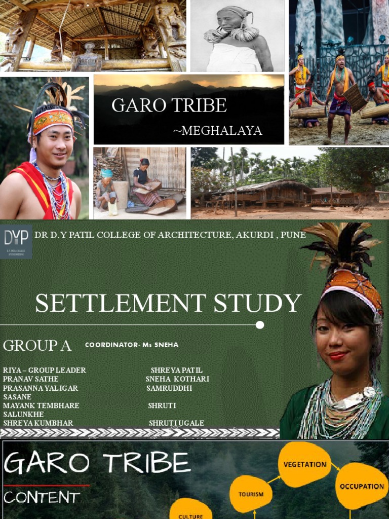 Case Study ON GARO | Download Free PDF | Agriculture | Foods