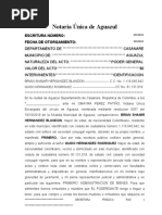 Modelo Poder General (Colombia) | PDF | Pagos | Bancos