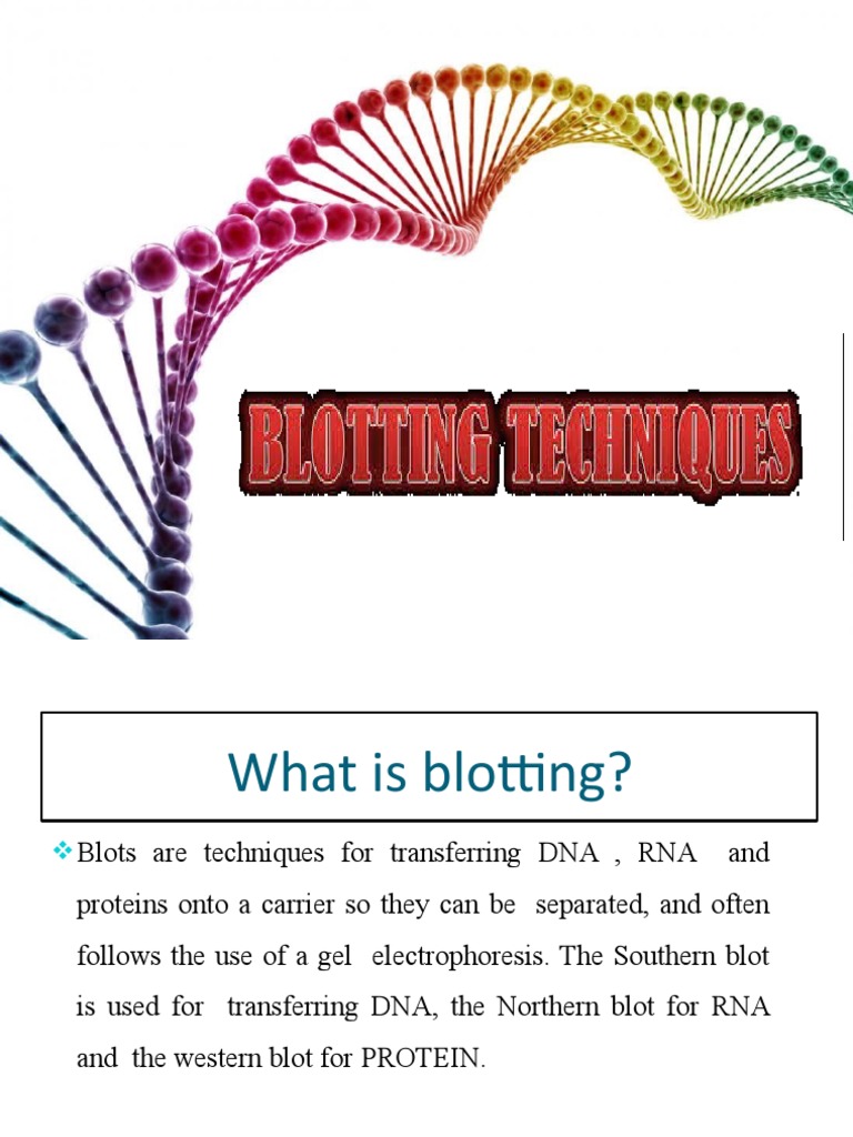 What is blotting techniques | PDF | Blot (Biology) | Northern Blot