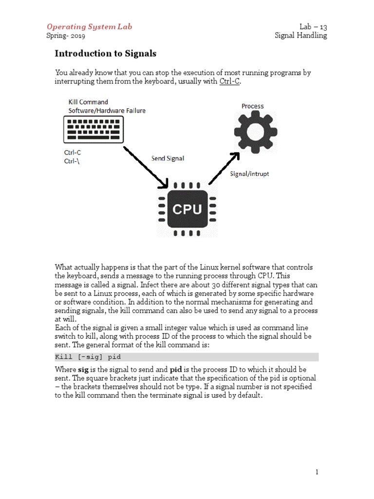 Introduction To Signals: Operating System Lab | PDF | Computer Engineering | Operating System ...
