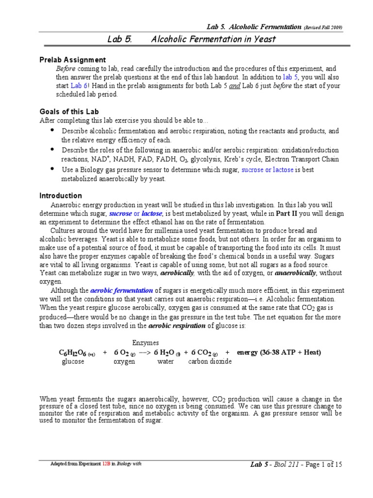 Yeast Alcoholic Fermentation Lab Guide | PDF | Cellular Respiration ...