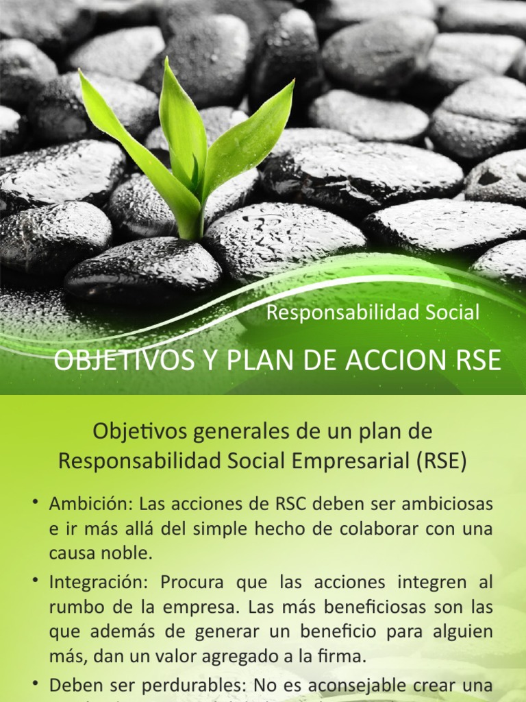 Objetivos y Planes de Acción RSE | PDF | Responsabilidad social ...