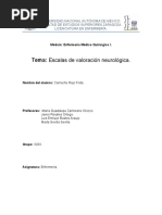 Escala de Lansky para Pacientes Pediátricos | PDF