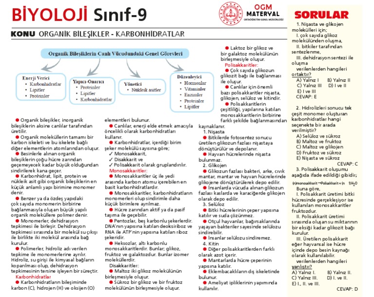 Sorular: 25 $1ý.%ý/ (Äý./ (5.$5!+ý'5$7/$5 Konu | PDF