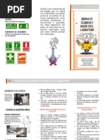 Seguridad en El Laboratorio | PDF