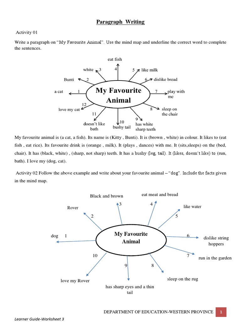 Paragraph Writing: Rover Like Water | PDF