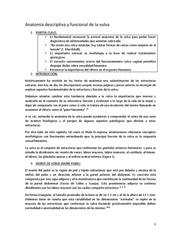 Anatomía y Función de la Vulva | PDF | Vagina | Clítoris